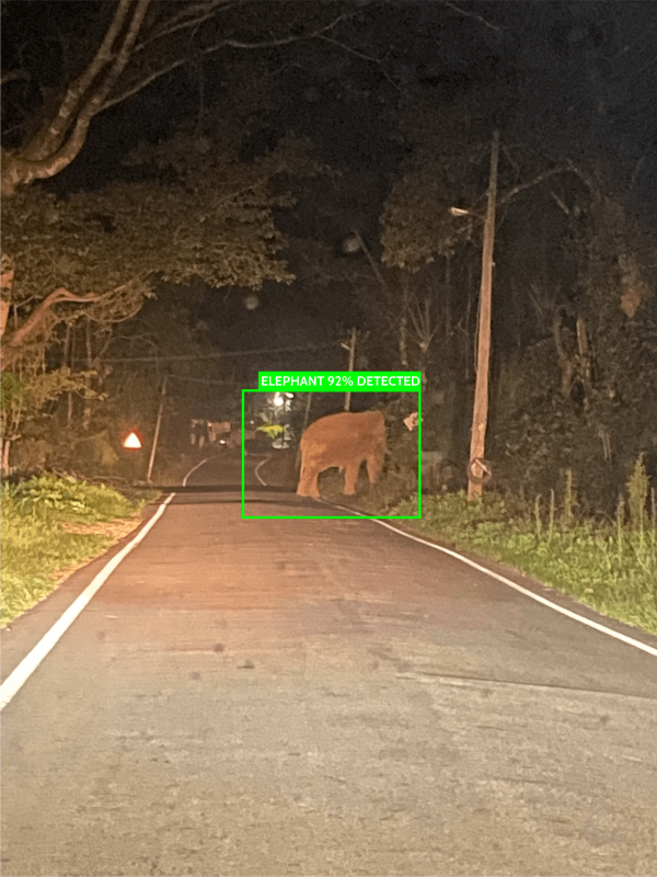 Animal Intrusion: Safeguarding Urban Spaces with Advanced Detection ...